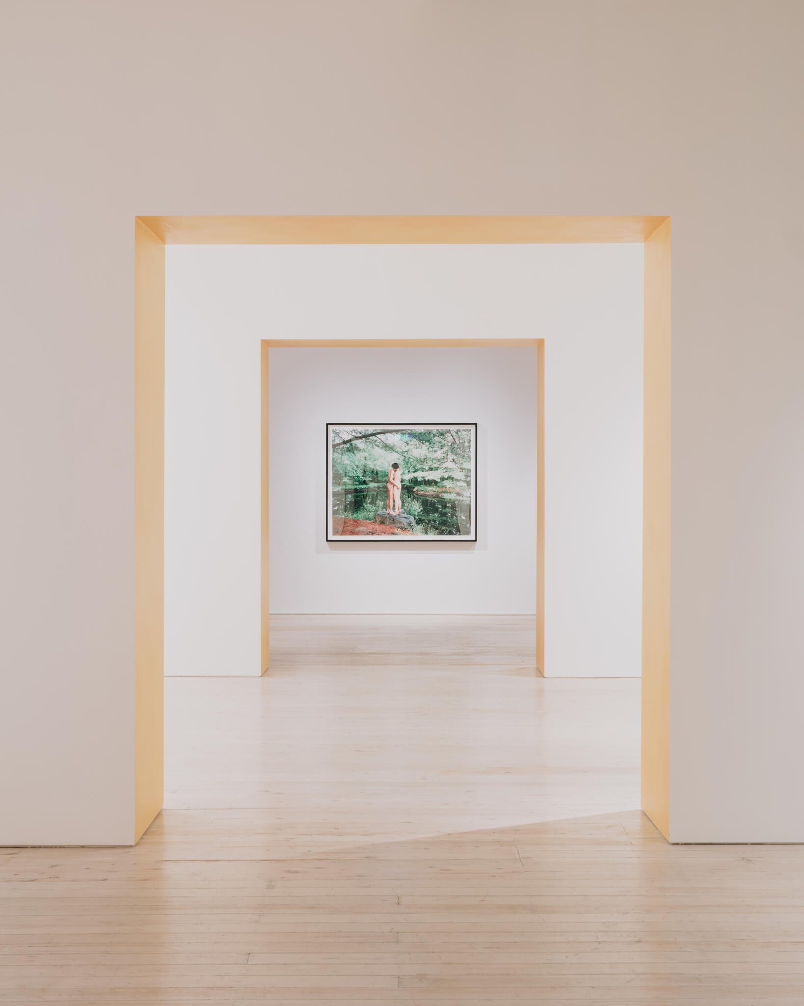 White Rabbit Gallery - Judith Neilson Projects