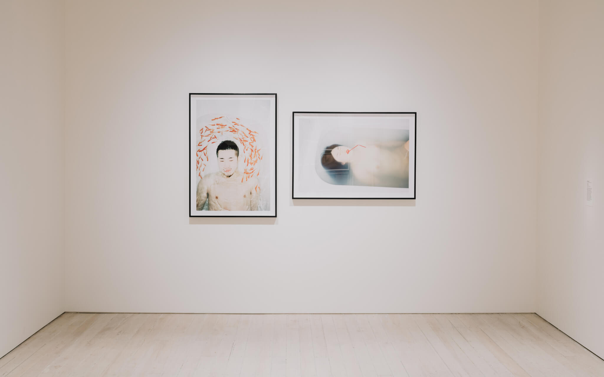 White Rabbit Gallery - Judith Neilson Projects